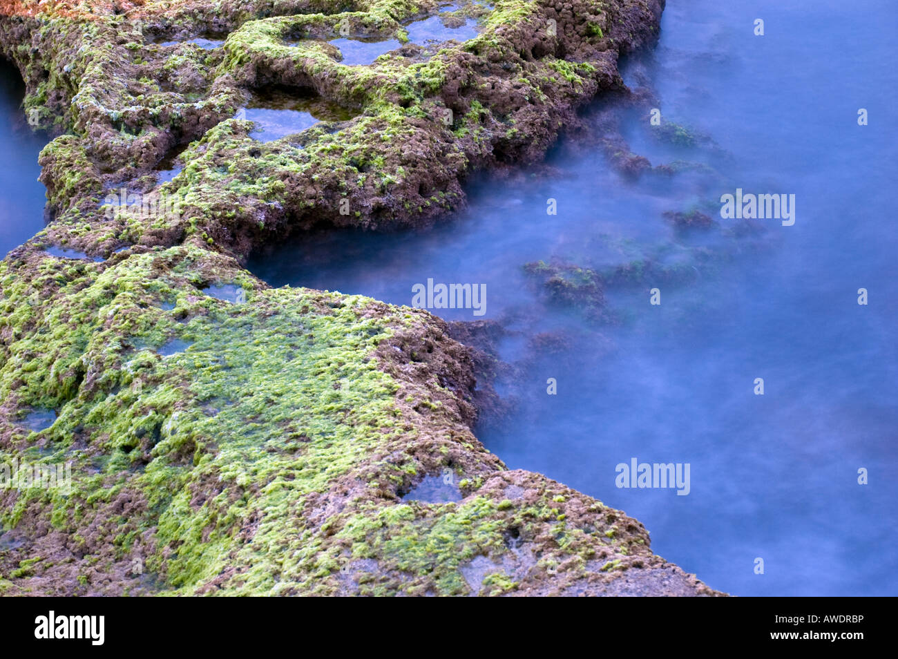Green mold on a rock surrounding blue water Stock Photo - Alamy