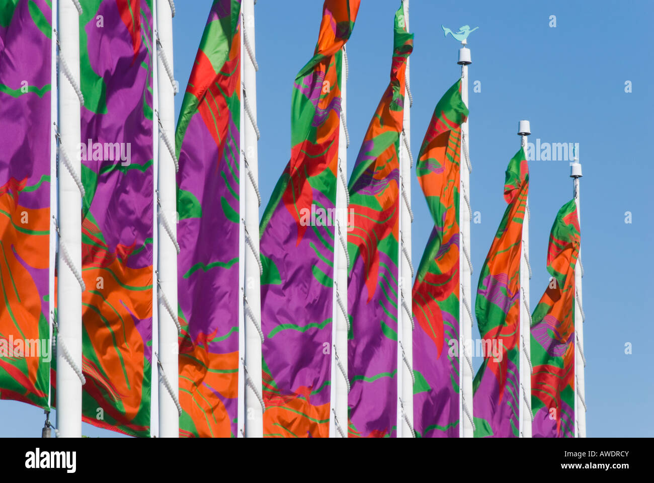 Flags flying as colorful street decorations in a city downtown, Norfolk ...