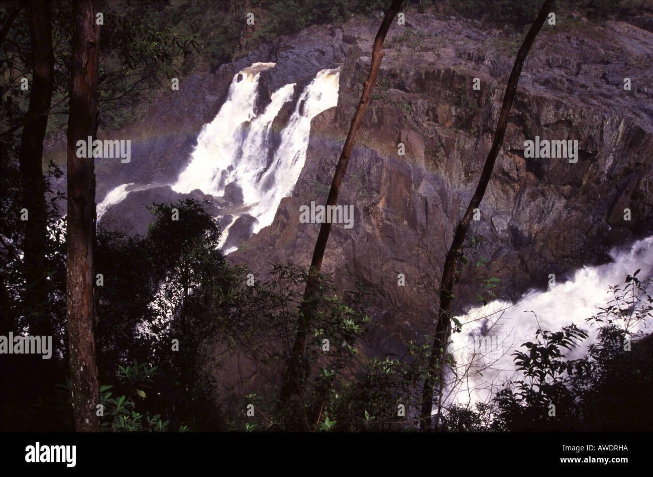 Barron Gorge National Park, Queensland, Australia viewed from cable car ...