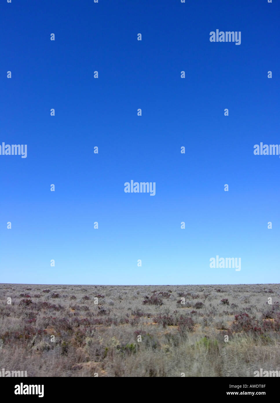 Nullabor plain australia hi-res stock photography and images - Alamy