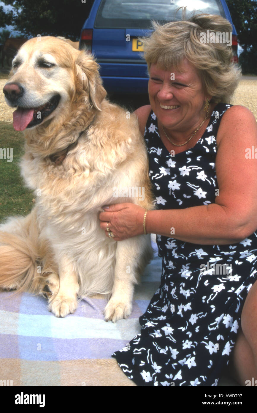 ANIMALS. GOLDEN RETRIEVER DOG. ( SALLY Stock Photo - Alamy