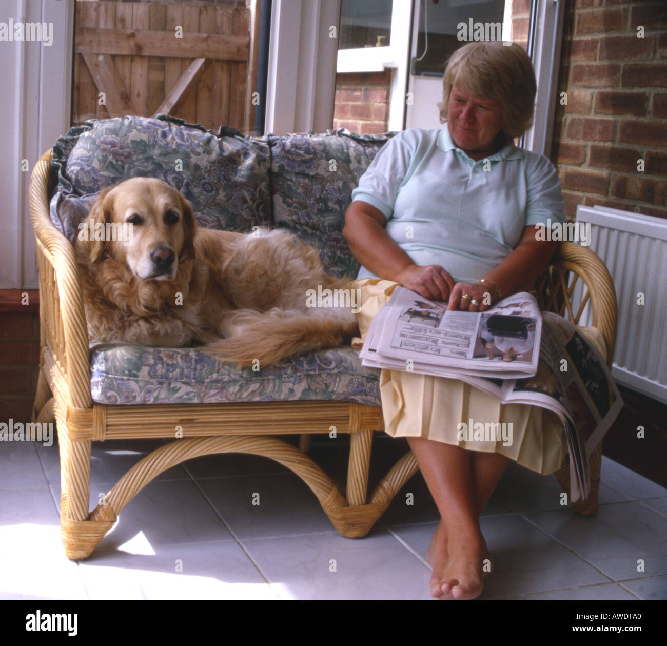 Faithful animals hi-res stock photography and images - Alamy