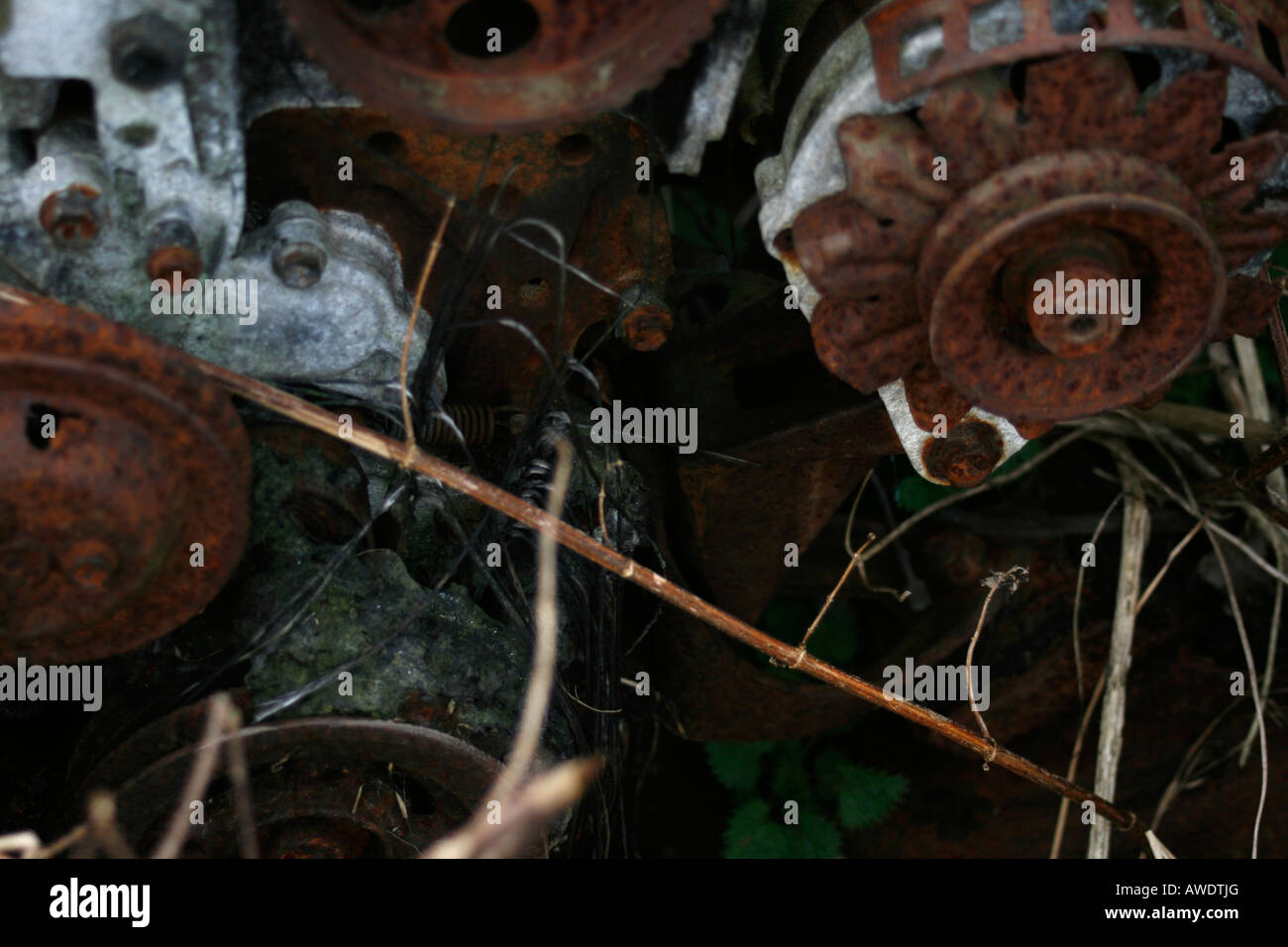 The corroded engine of an abandoned burned out rusted old Toyota car at ...