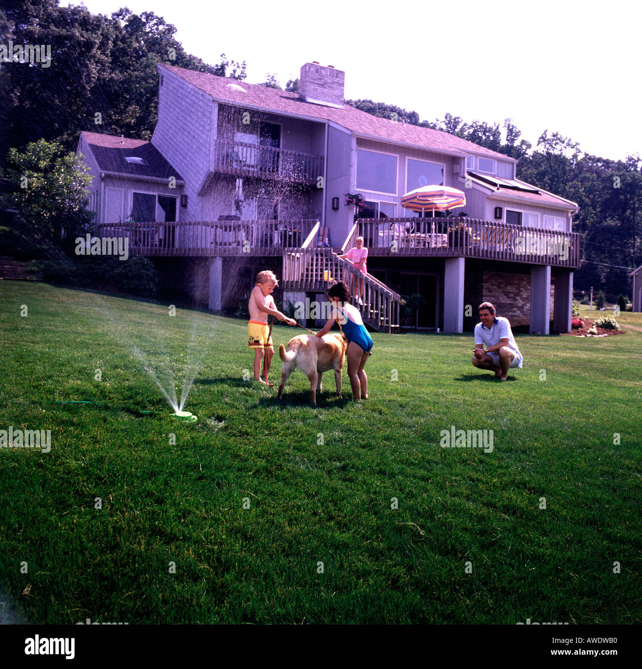 family group playing in back yard copy space kids child children ...