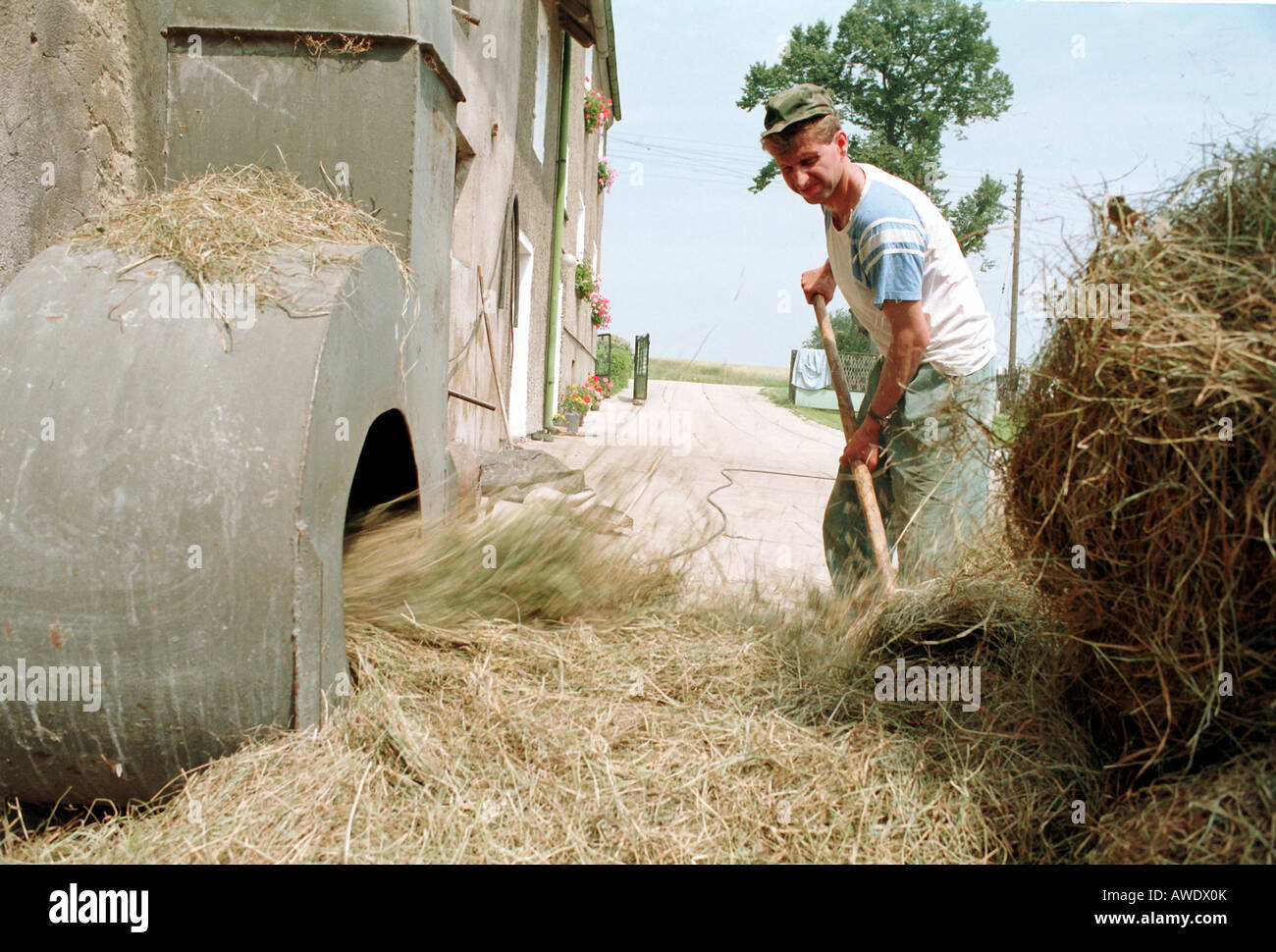 Farmer during hay harvest, Kotulin, Poland Stock Photo - Alamy