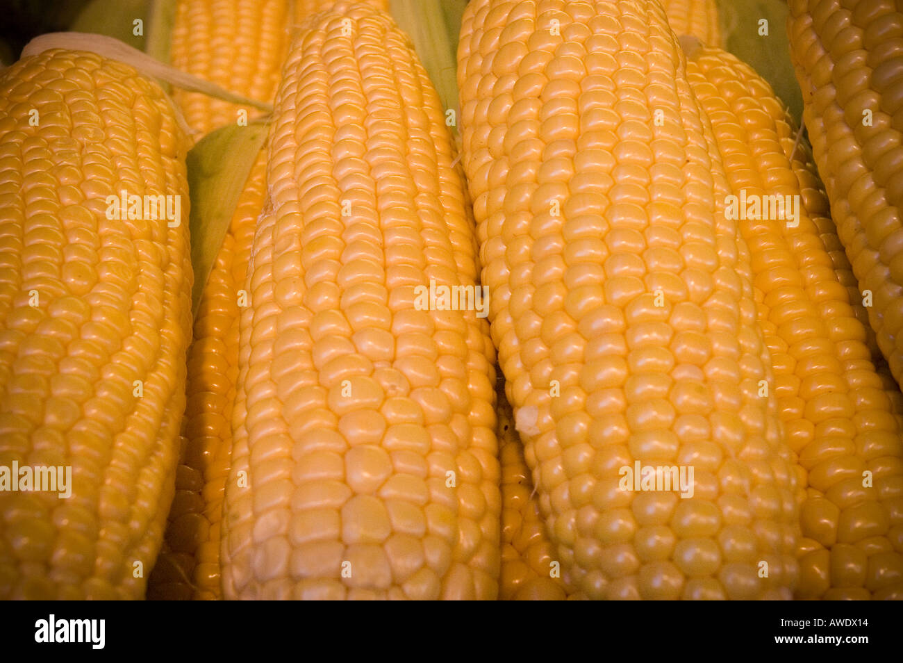Sweetcorn market hi-res stock photography and images - Alamy