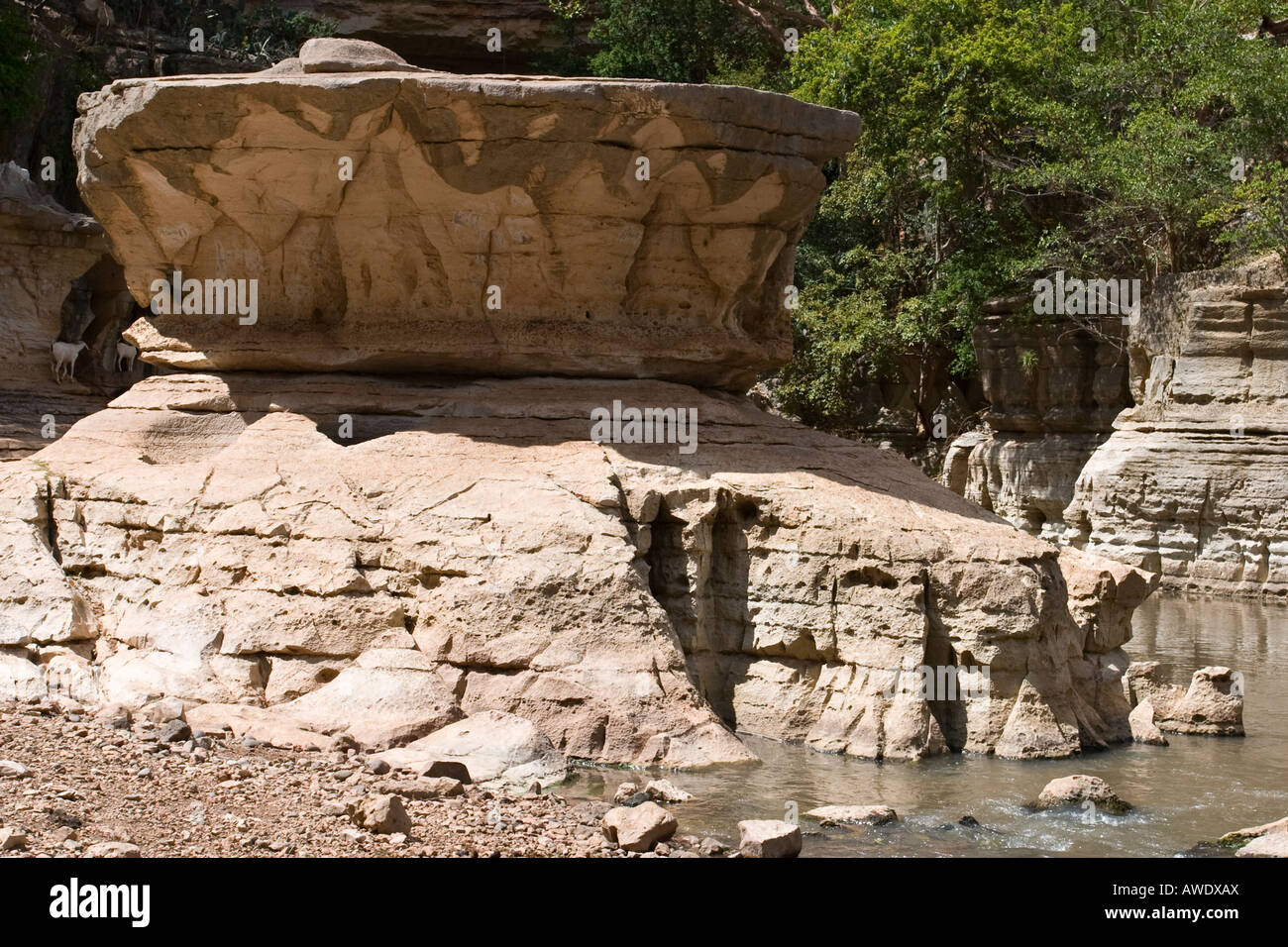 Sof Omar Cave, near Bale Mountains, Ethiopia, Africa Stock Photo - Alamy