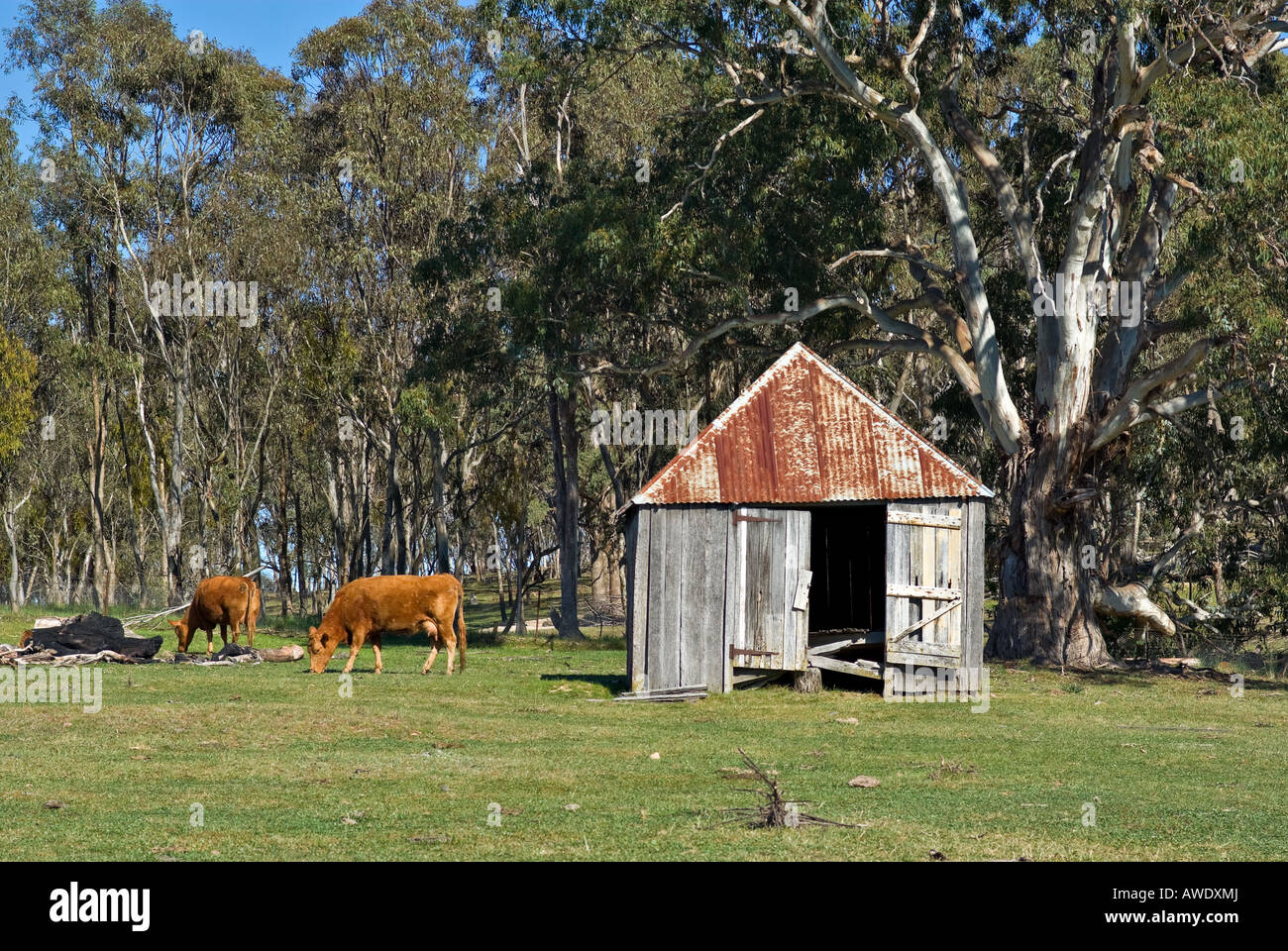 Old building on farm hi-res stock photography and images - Alamy