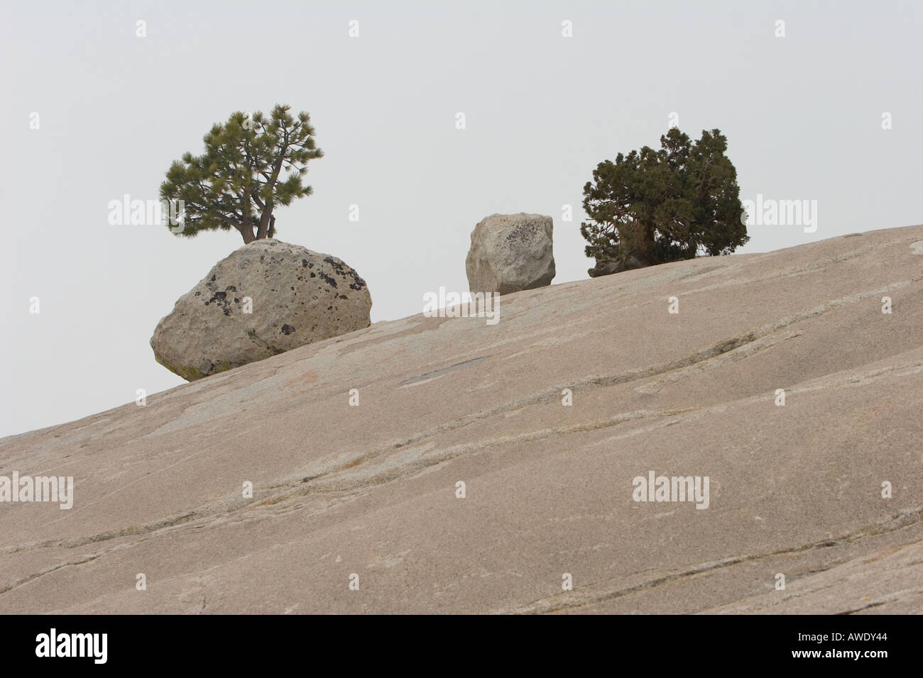 Boulders & Trees 2 Stock Photo - Alamy