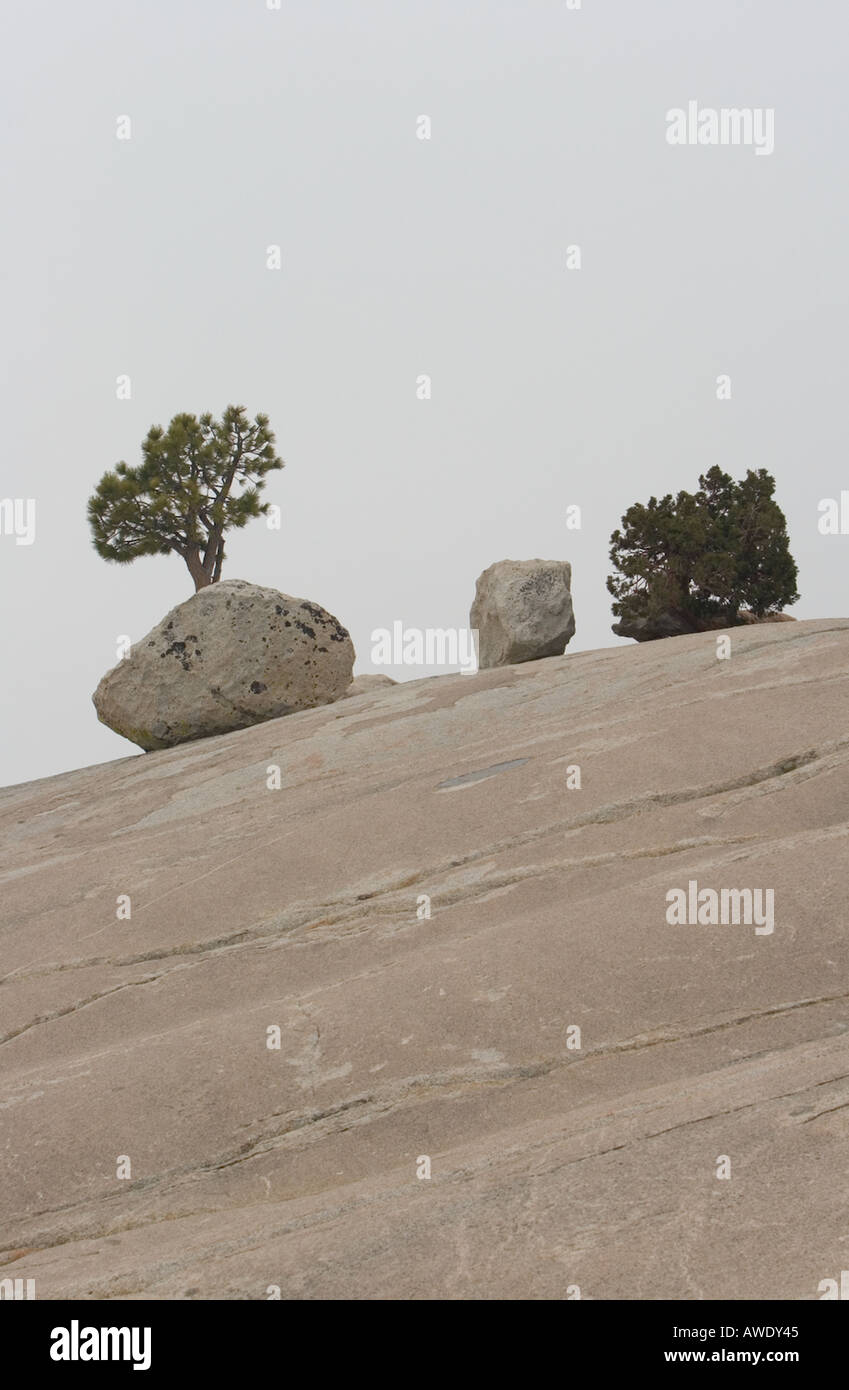 Boulders & Trees 1 Stock Photo - Alamy