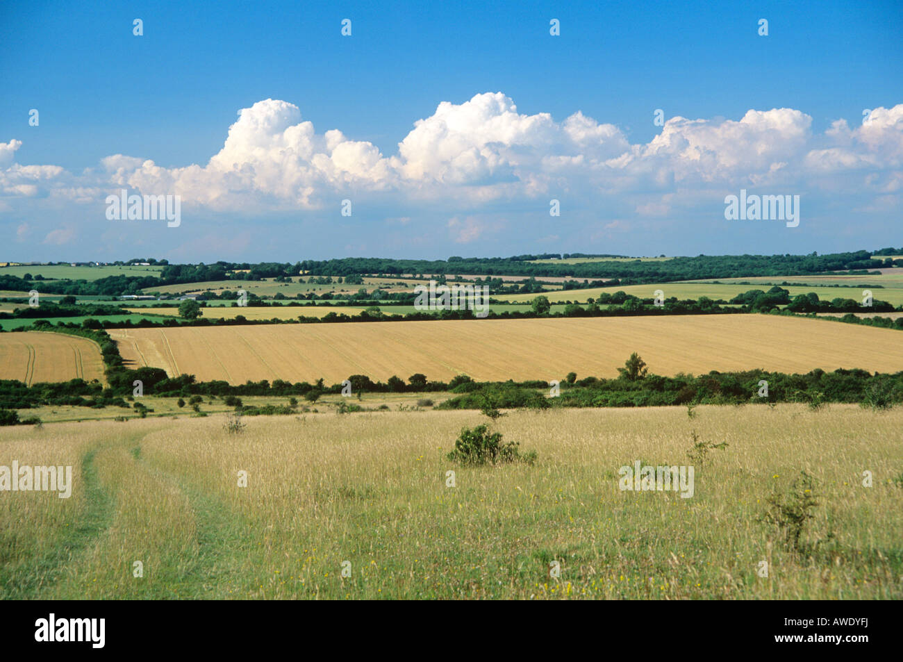 Farm Landscape in Southern England Stock Photo - Alamy