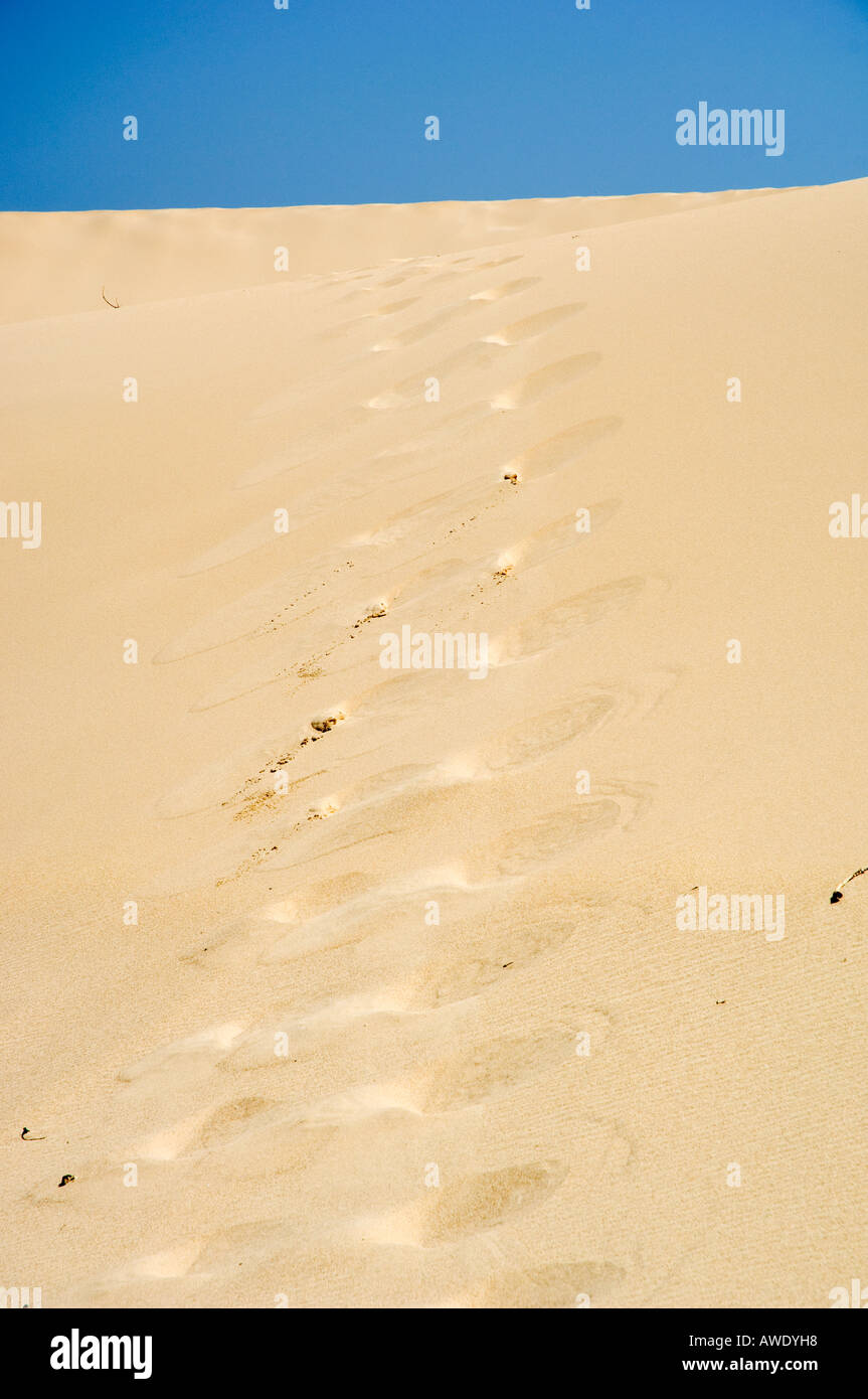 Footsteps in the sand Stock Photo - Alamy