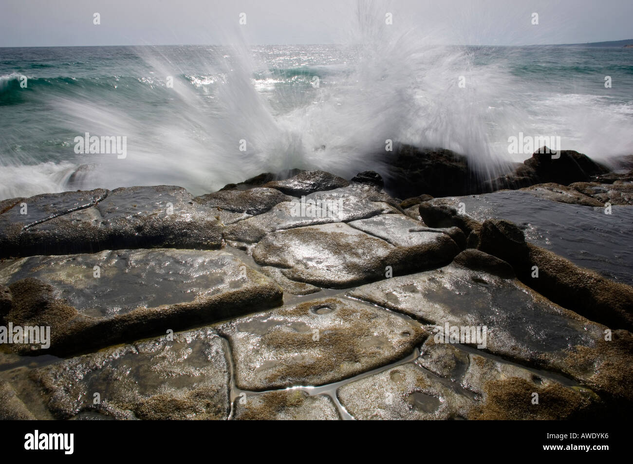 the power of the sea Stock Photo - Alamy