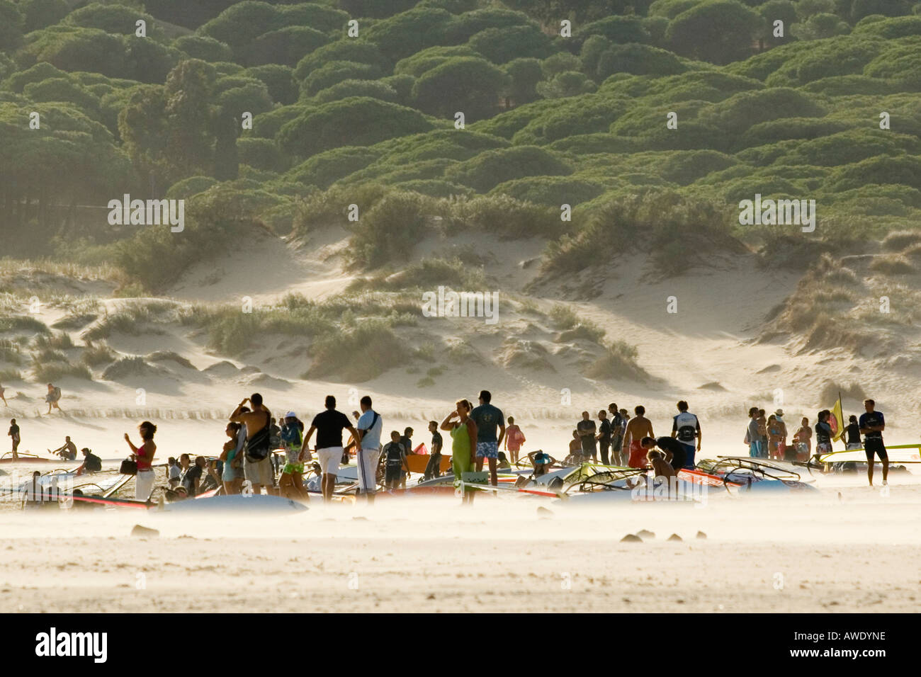 group of people at the beach Stock Photo - Alamy