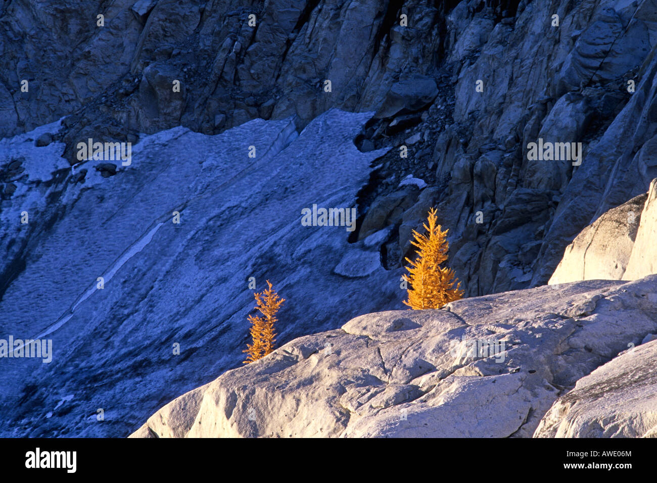 Fall colour Alpine Lakes Wilderness North Cascade Mountains Washington ...