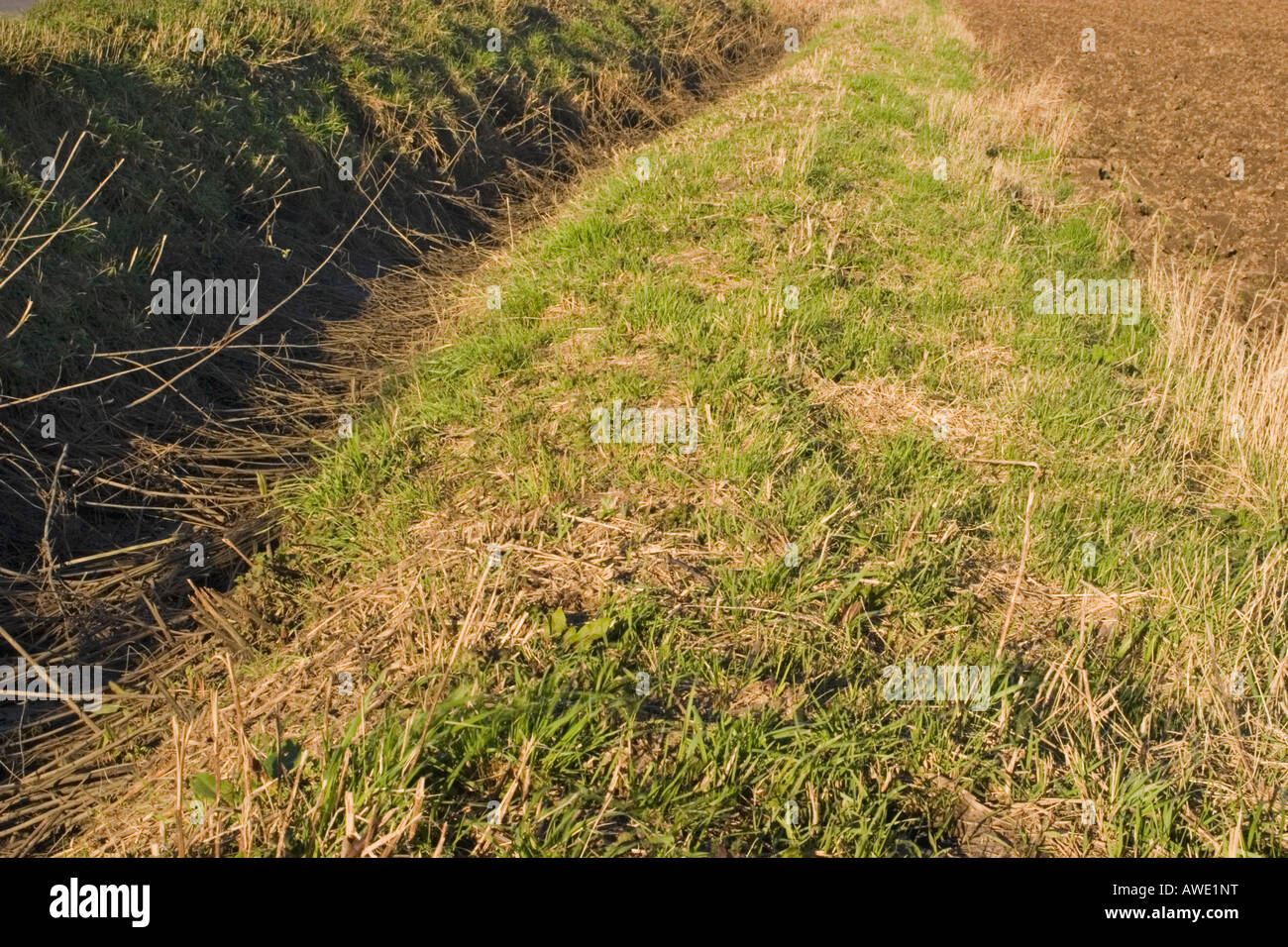 Drainage ditch dry hi-res stock photography and images - Alamy