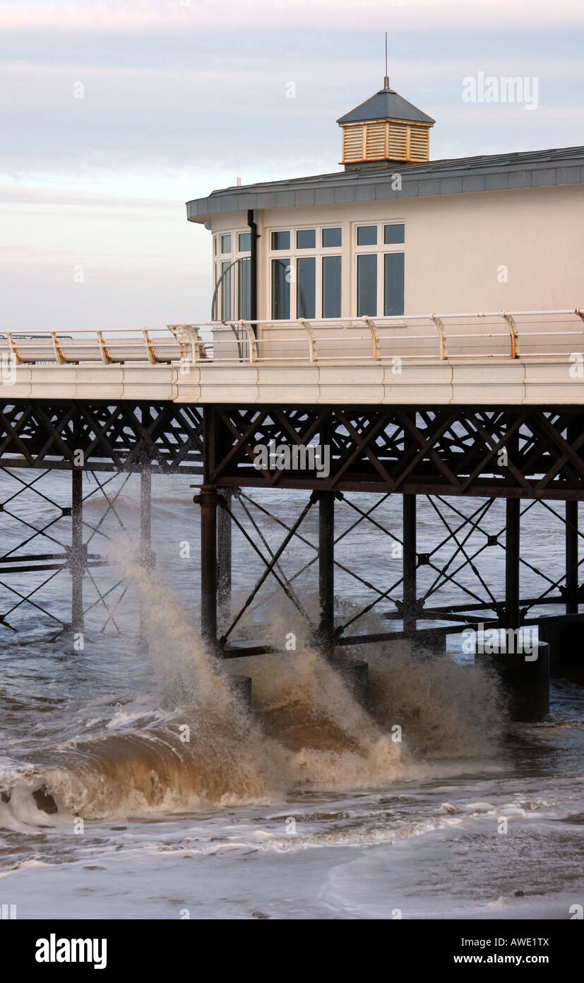 Pigs bottom hi-res stock photography and images - Alamy