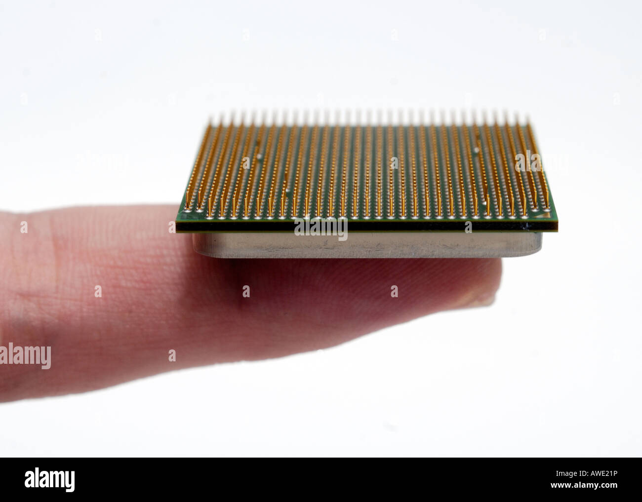 Computer processor detail close up in man hand Stock Photo - Alamy