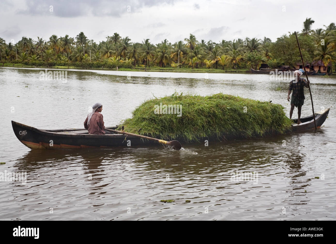 Keralite boats hi-res stock photography and images - Alamy