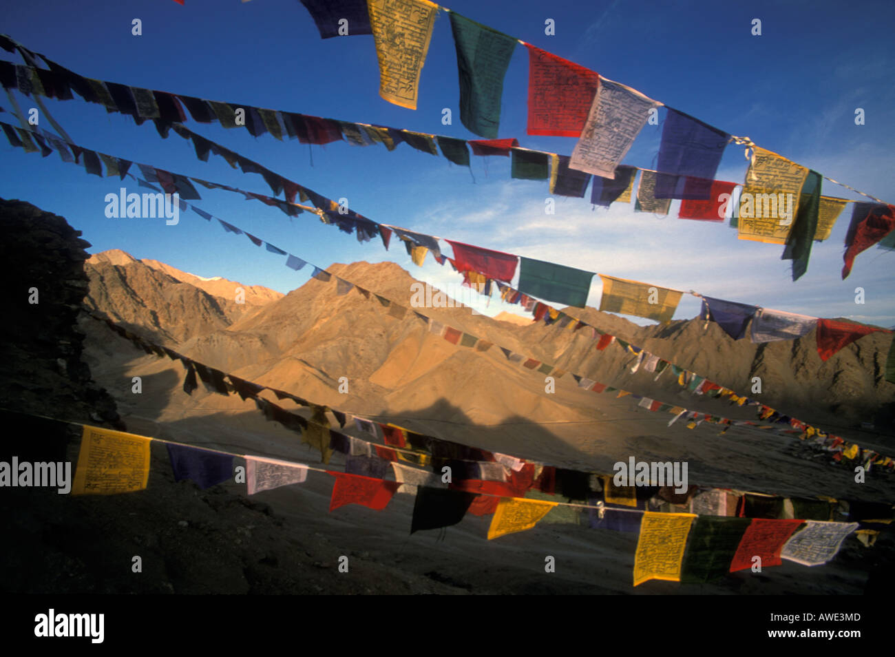 Buddhist prayer flags in the mountains, Ladakh, Northern India Stock ...