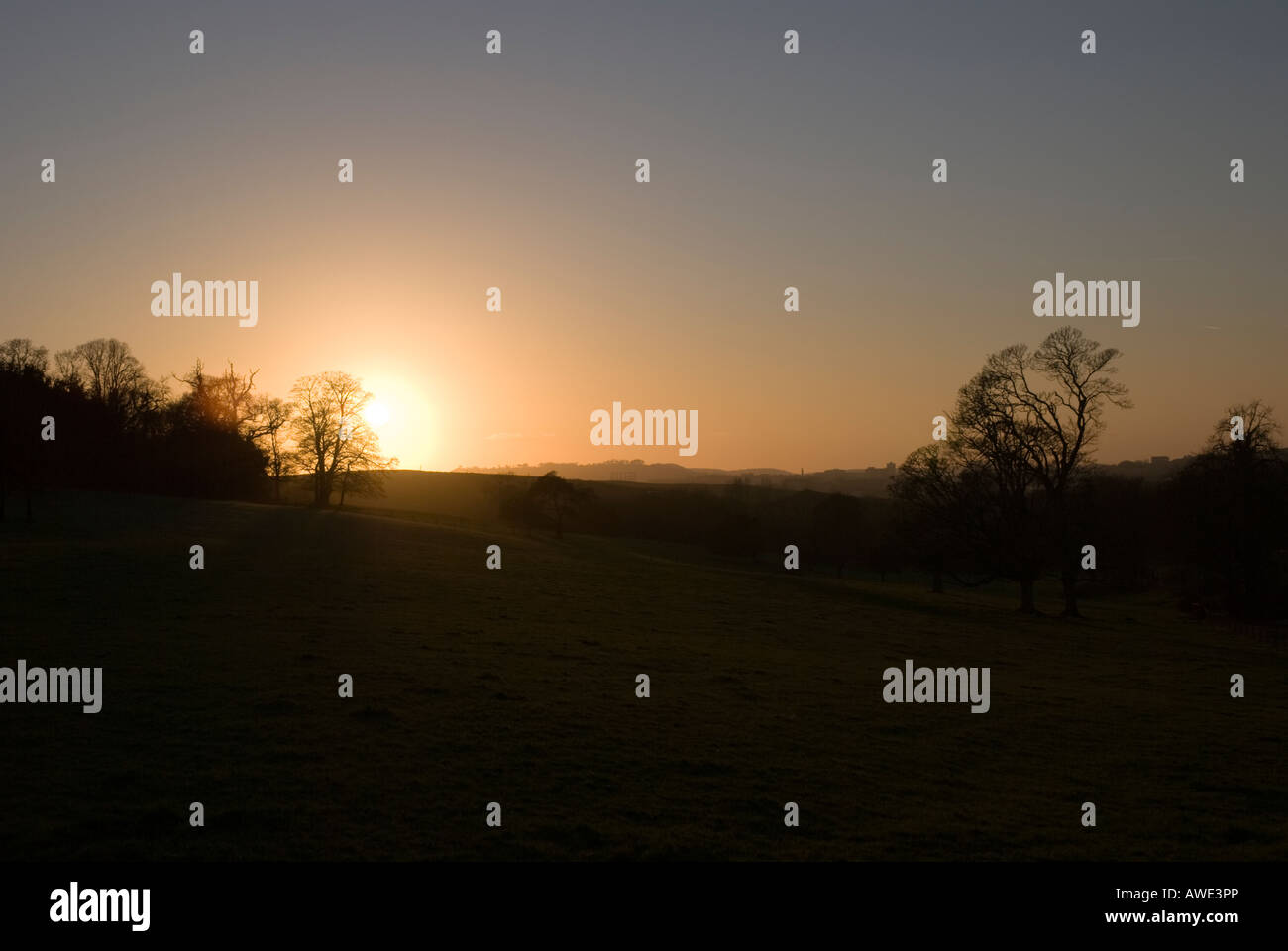 Saltram house hi-res stock photography and images - Alamy