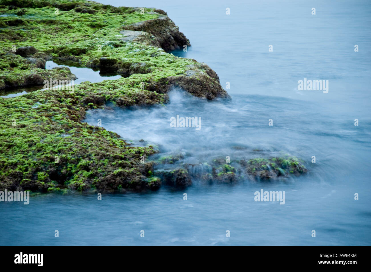 Green mold on a rock surrounding blue water Stock Photo - Alamy