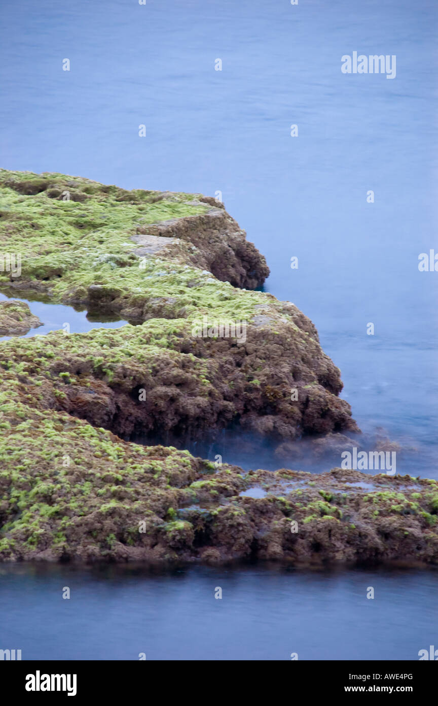Green mold on a rock surrounding blue water Stock Photo - Alamy