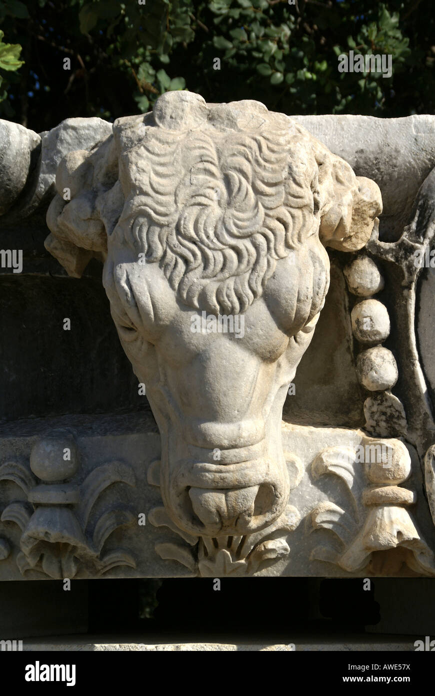 Carving a turkey hi-res stock photography and images - Alamy