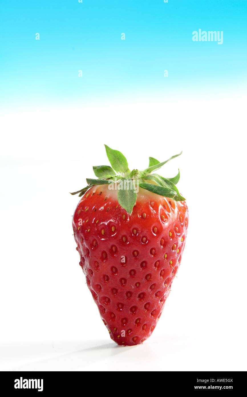 single strawberry isolated on blue white background Stock Photo - Alamy