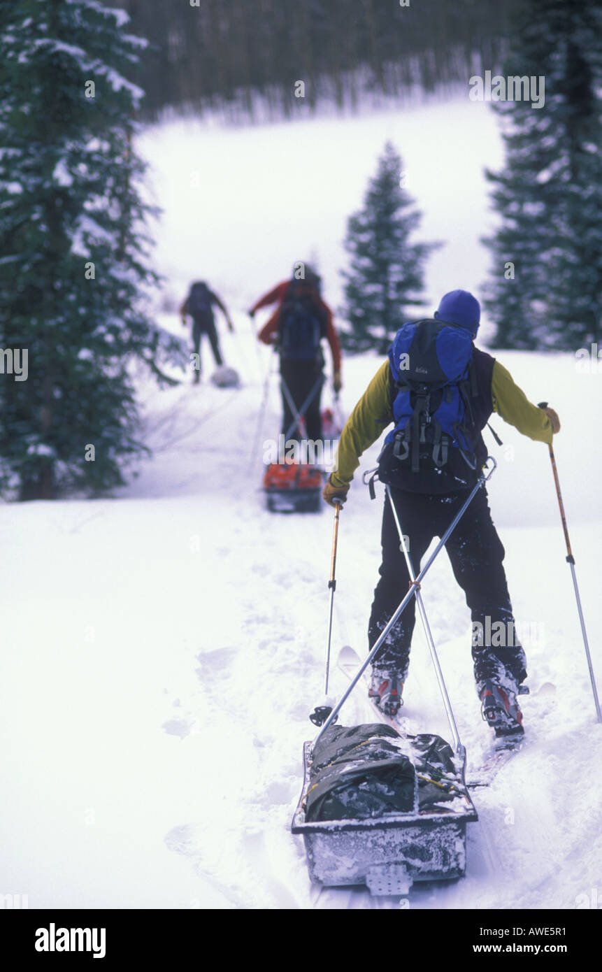 Skiers pulling gear sleds in the backcountry Stock Photo - Alamy