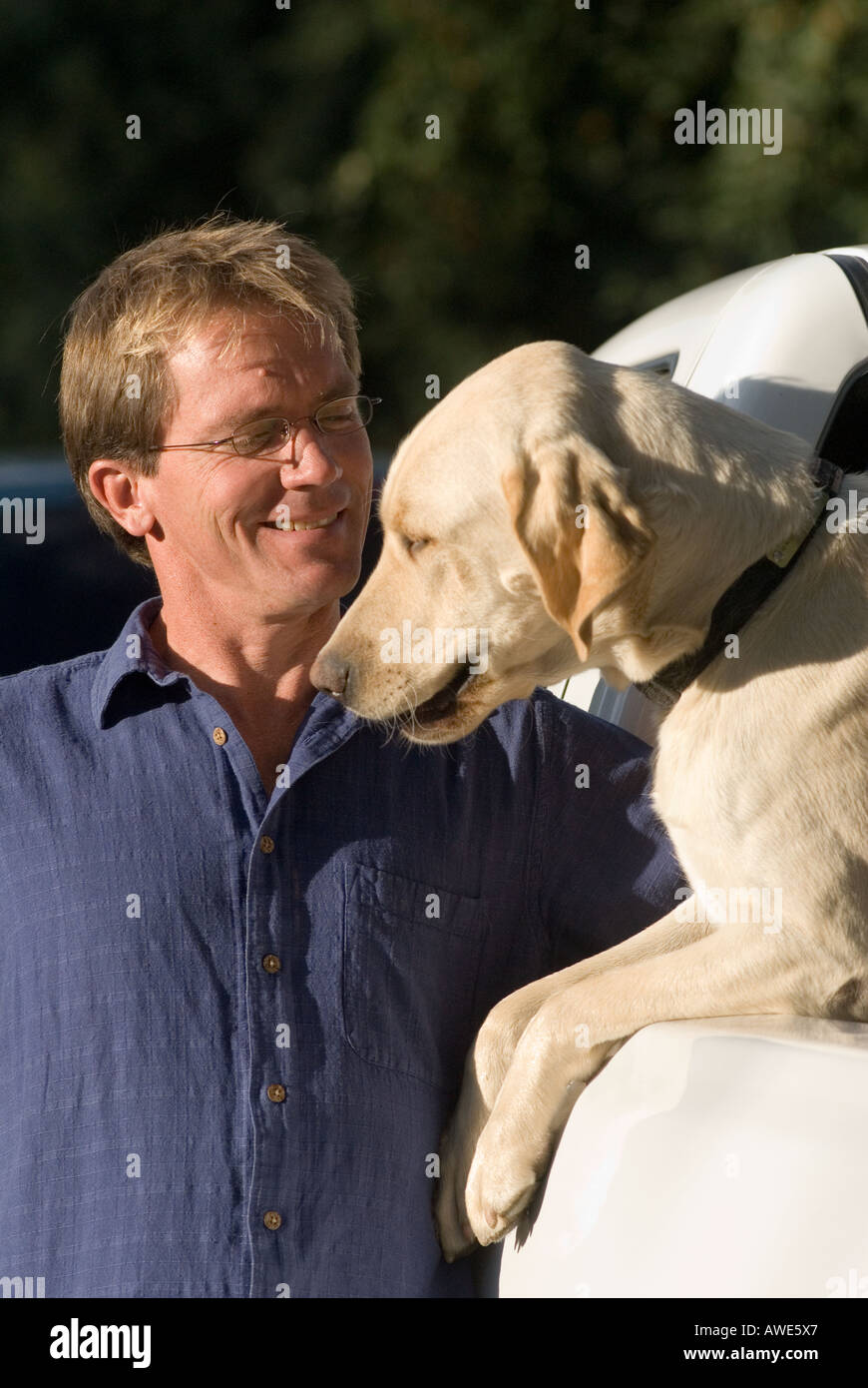 Domesticated pals hi-res stock photography and images - Alamy