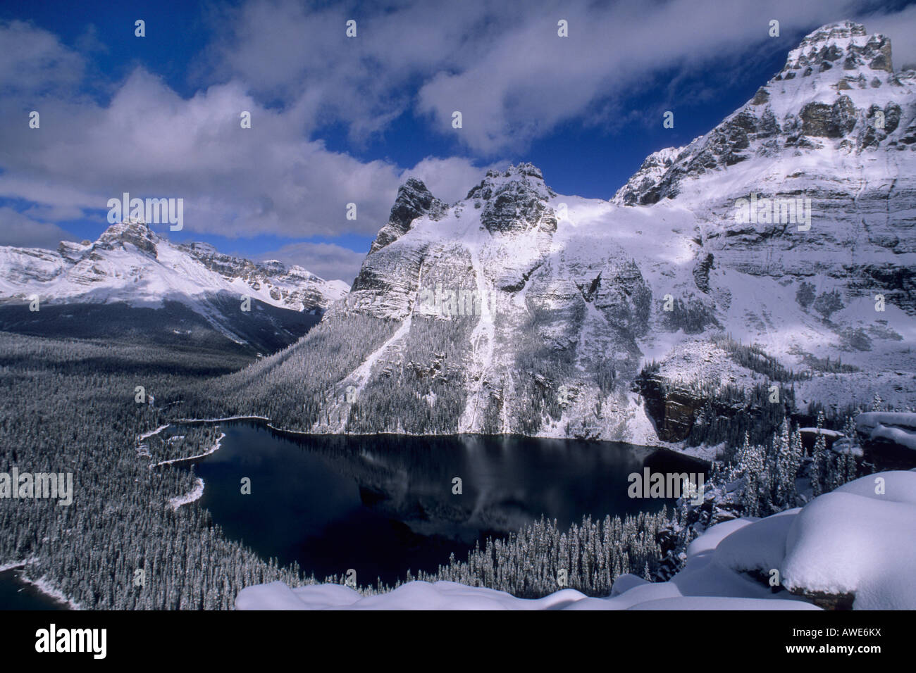 Wiwaxy Peaks Mount Huber Lake O Hara Yoho National Park British ...