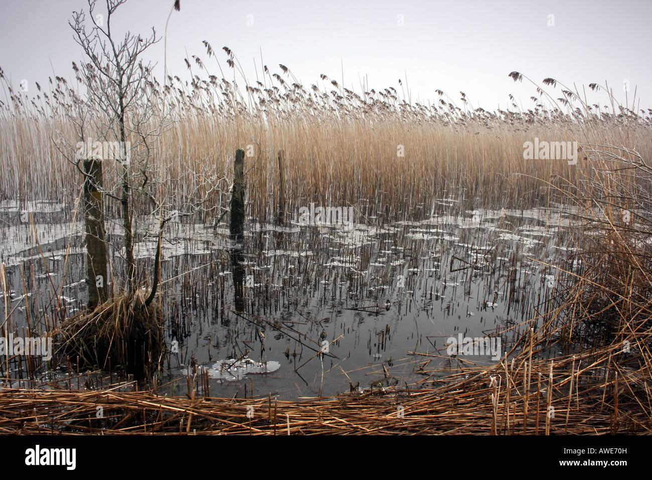 Lough Macnean High Resolution Stock Photography and Images - Alamy