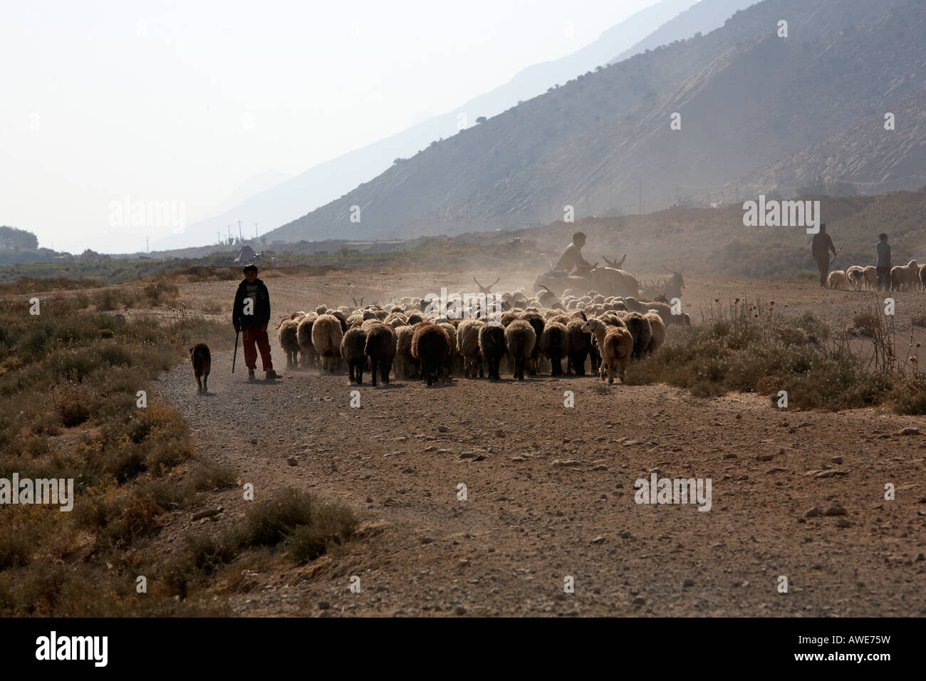 Qashqai nomads hi-res stock photography and images - Alamy