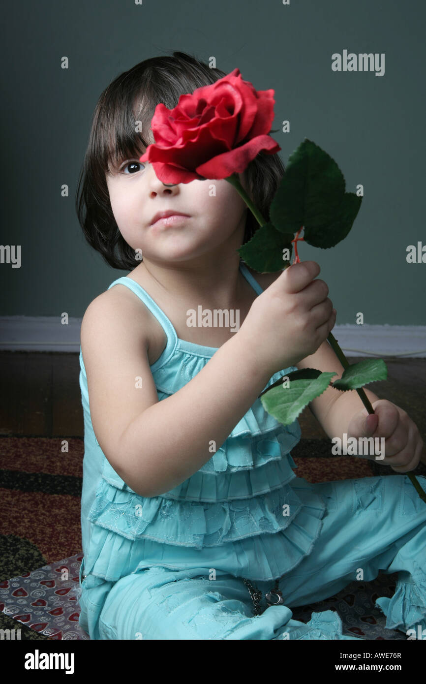Child 3 Year old girl playing with red rose. Model Released Studio shot ...