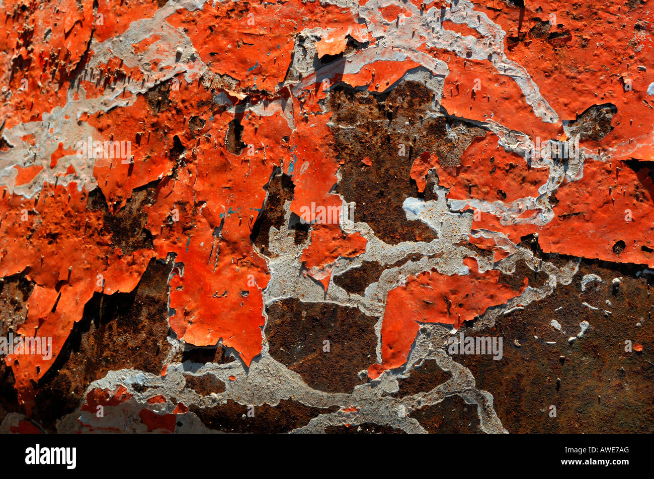 Orange & White Coloured Paint , Peeling Off A Rusted Metal Surface ...