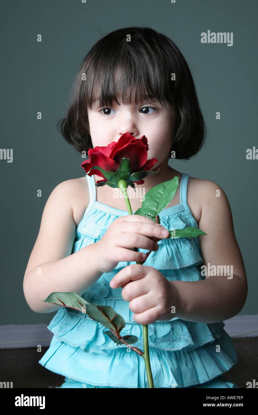 Child 3 Year old girl with red rose. Model Released Studio shot Stock ...