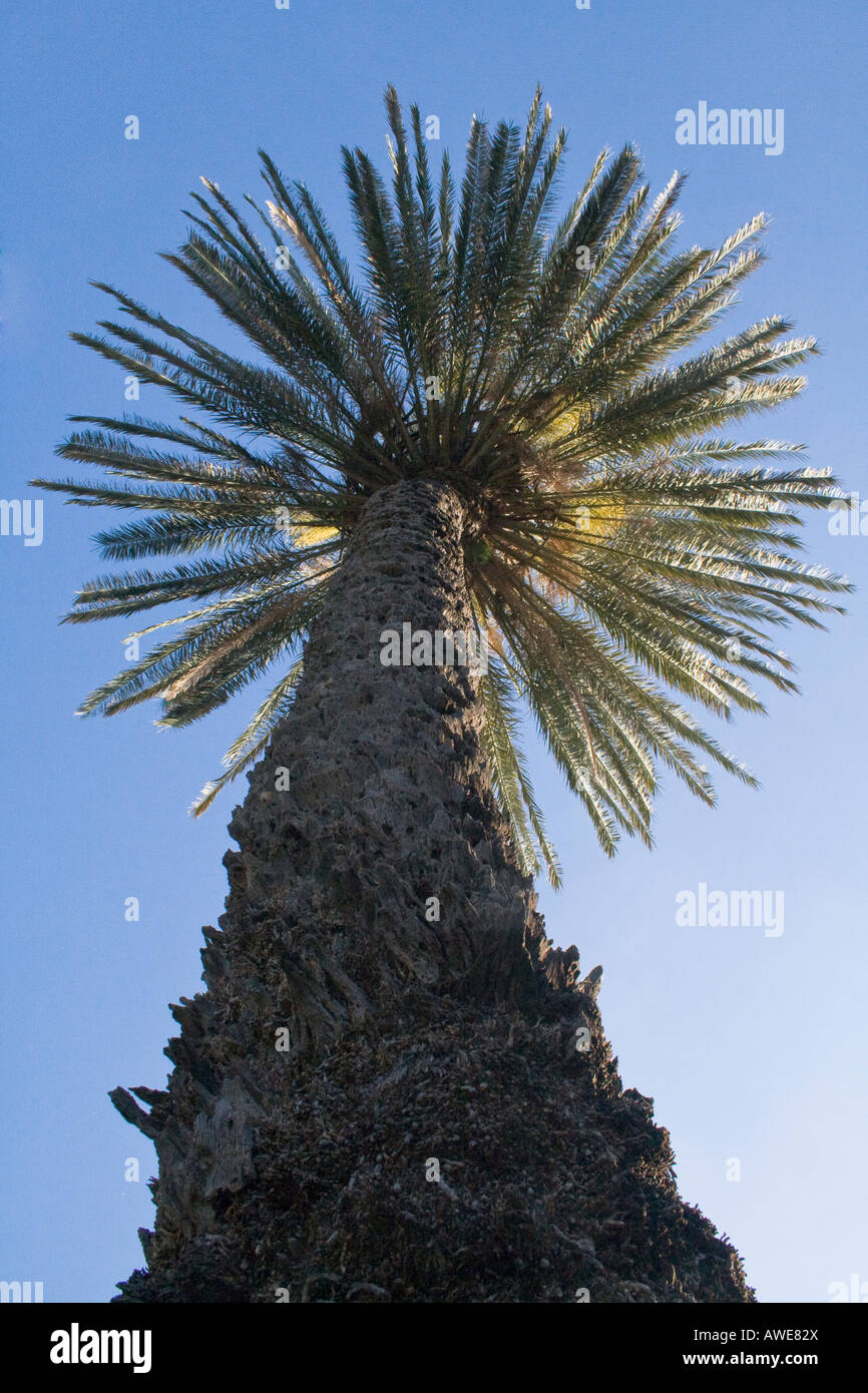 Palma cathedral roof hi-res stock photography and images - Alamy