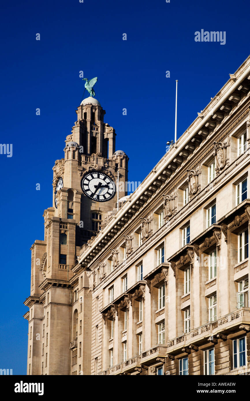 Royal Liver Building Liverpool Merseyside England Stock Photo - Alamy