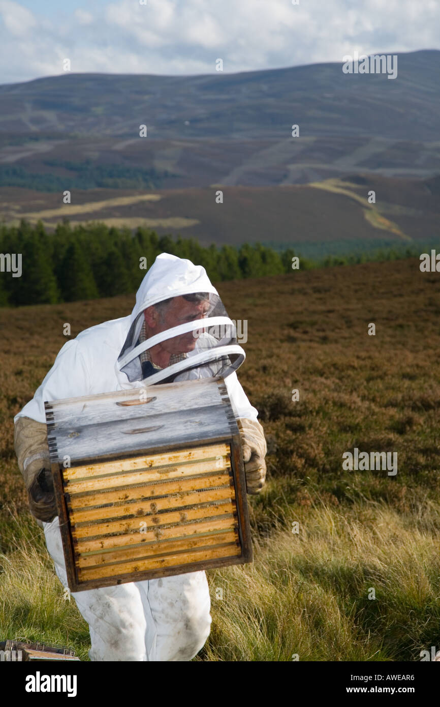 Beekeeper wearing beekeeper's clothing bee suits & smoke machine ...
