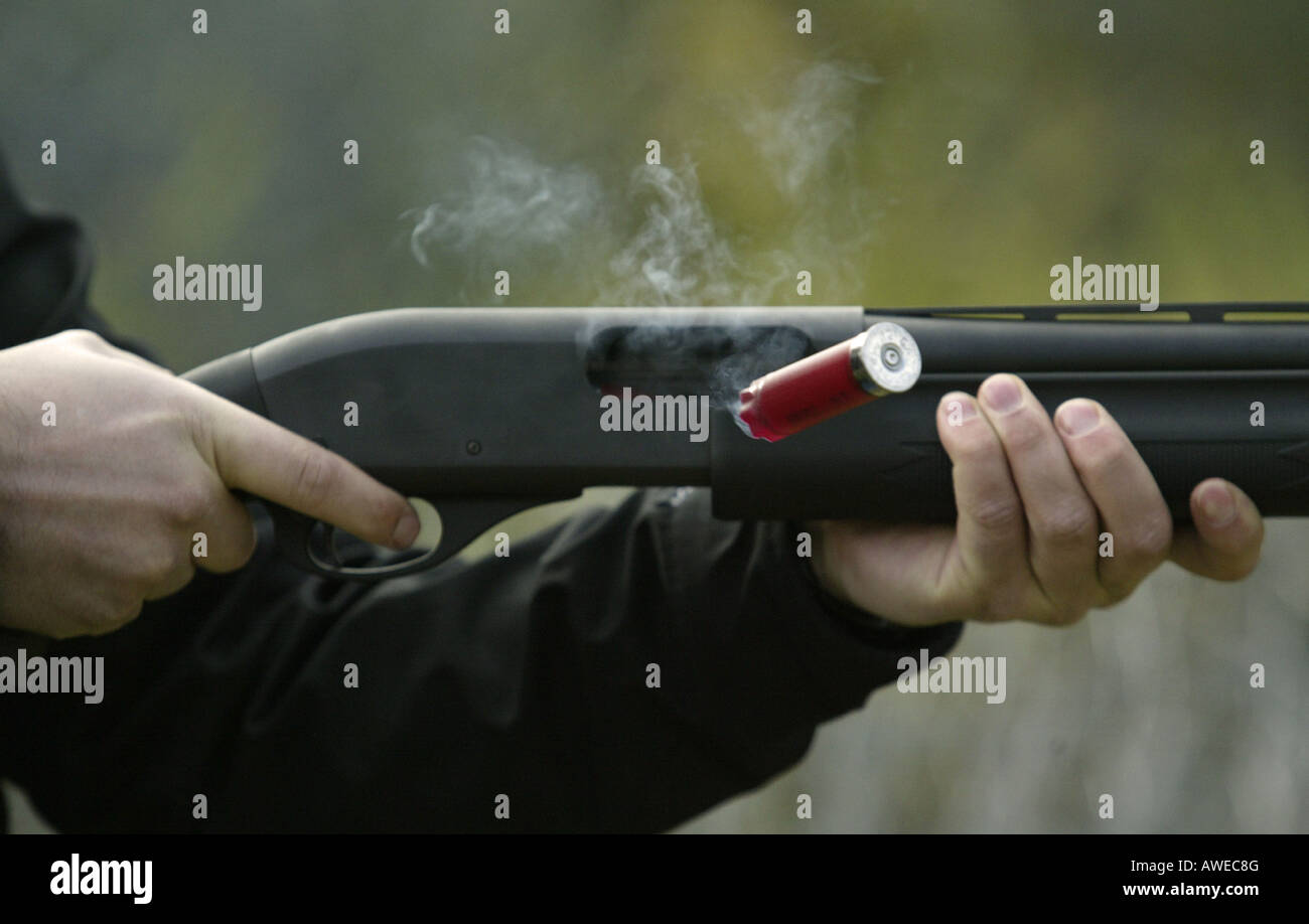 Frames Shellflies Photography Craft Supplies & Tools etna.com.pe