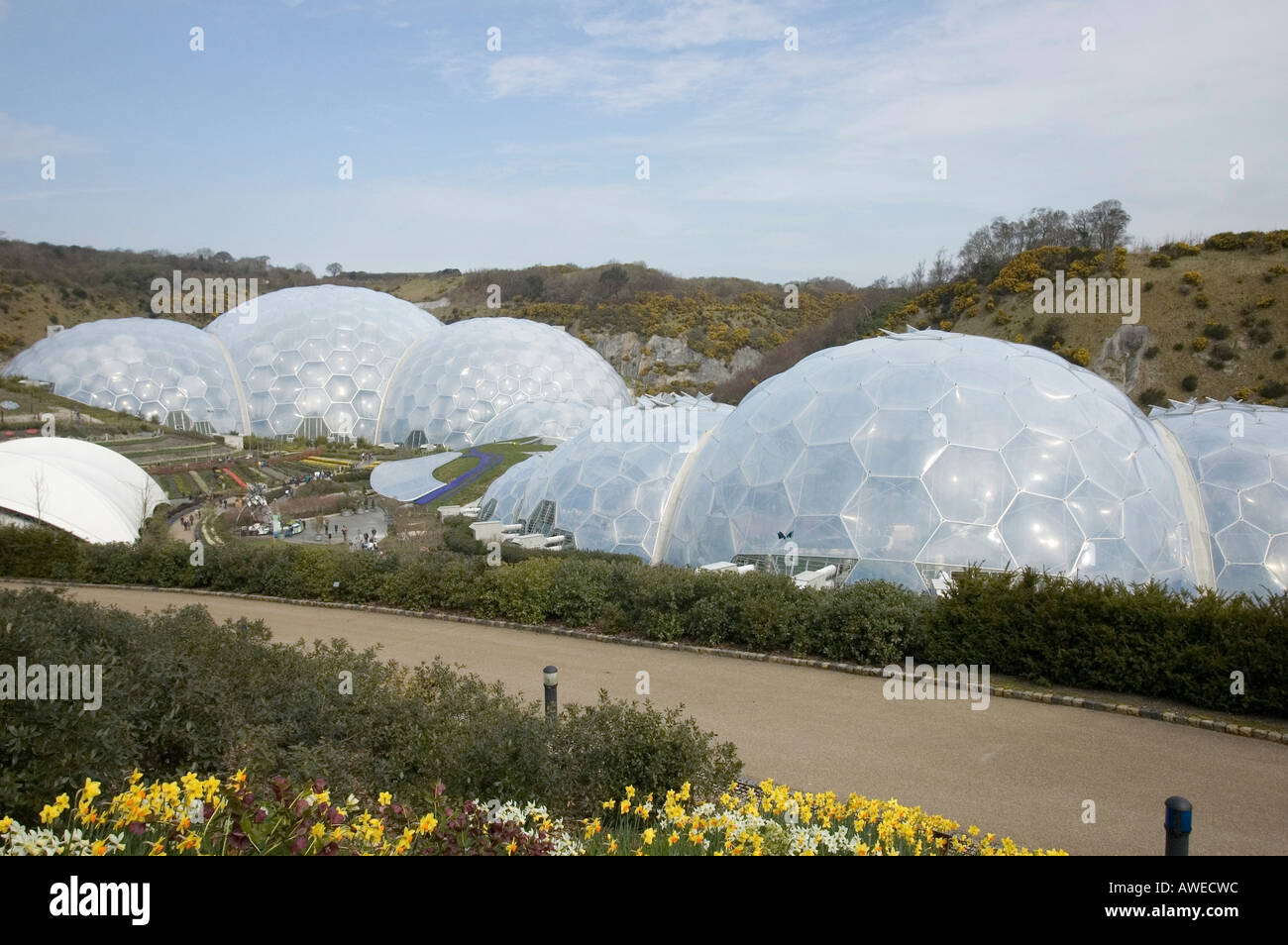 Eden Project, Cornwall, England Stock Photo - Alamy