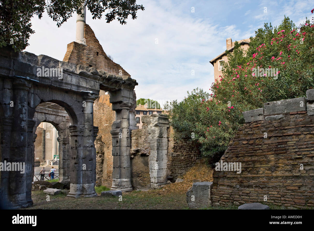 Porticus Triumphalis ruins on the Forum Holitorium, Rome, Italy, Europe ...