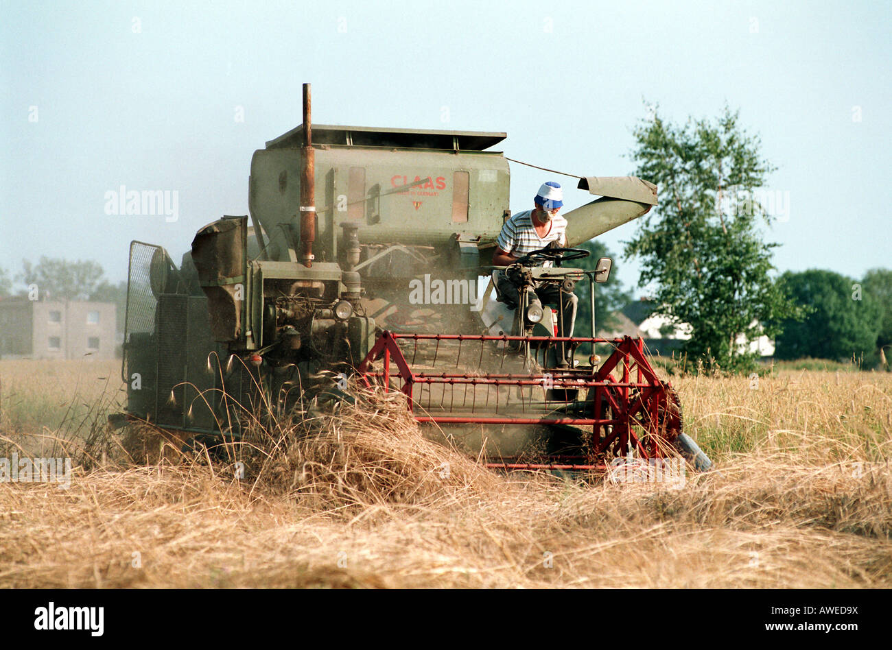 Combine harvester on a grain field, Zuzela Brozek, Poland Stock Photo ...