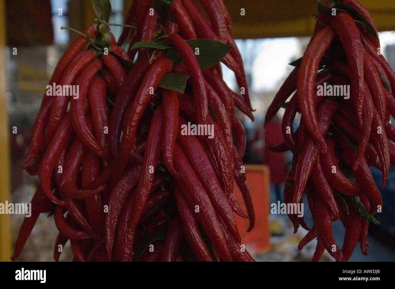 Red chilli peppers, Notting Hill, London, England Stock Photo - Alamy