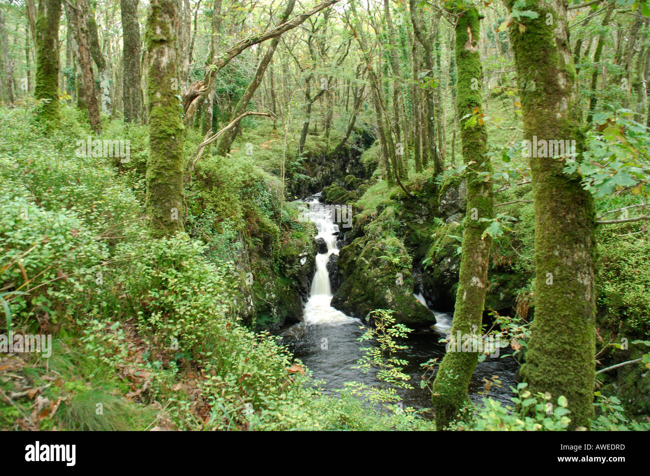 Cree Water 2 Stock Photo - Alamy