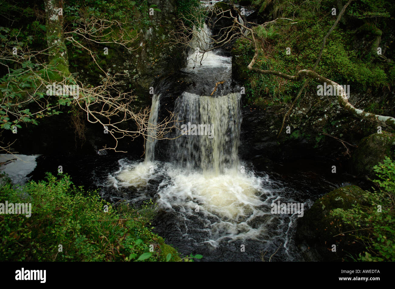 Woods of cree hi-res stock photography and images - Alamy