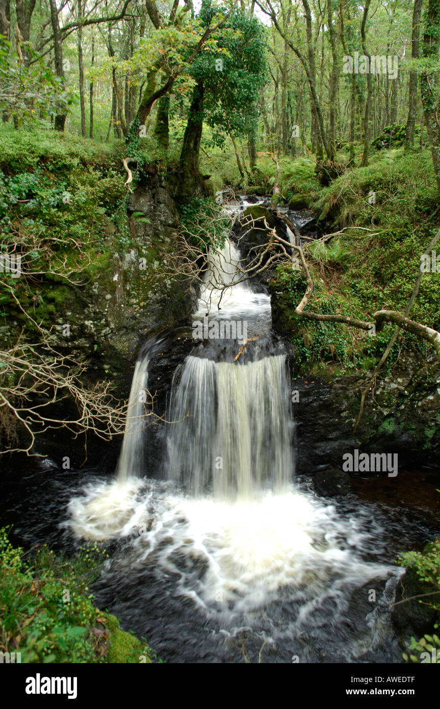 Woods of cree hi-res stock photography and images - Alamy