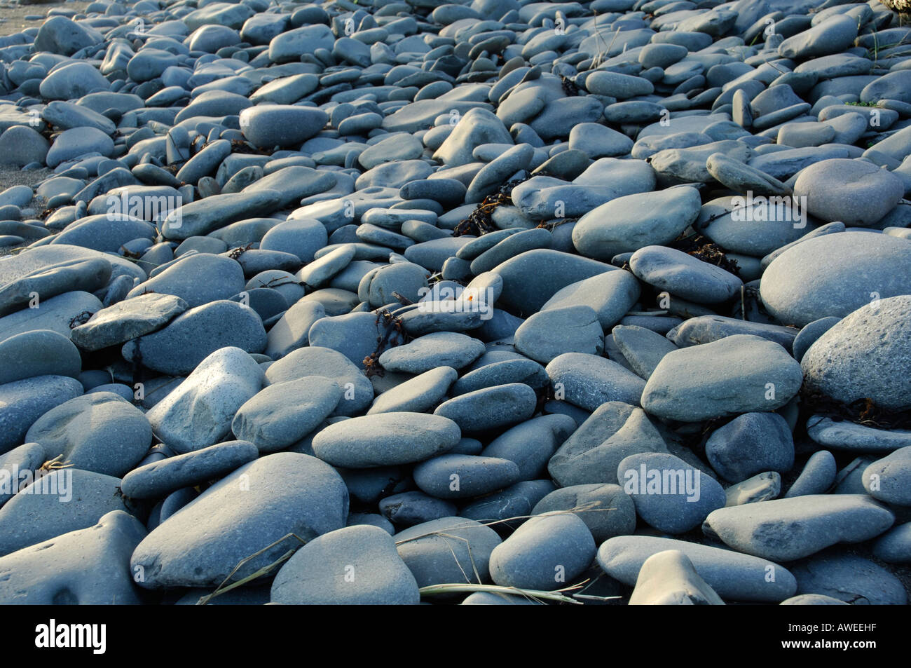 Pebbles on Scottish Beach at Craignarget Stock Photo - Alamy