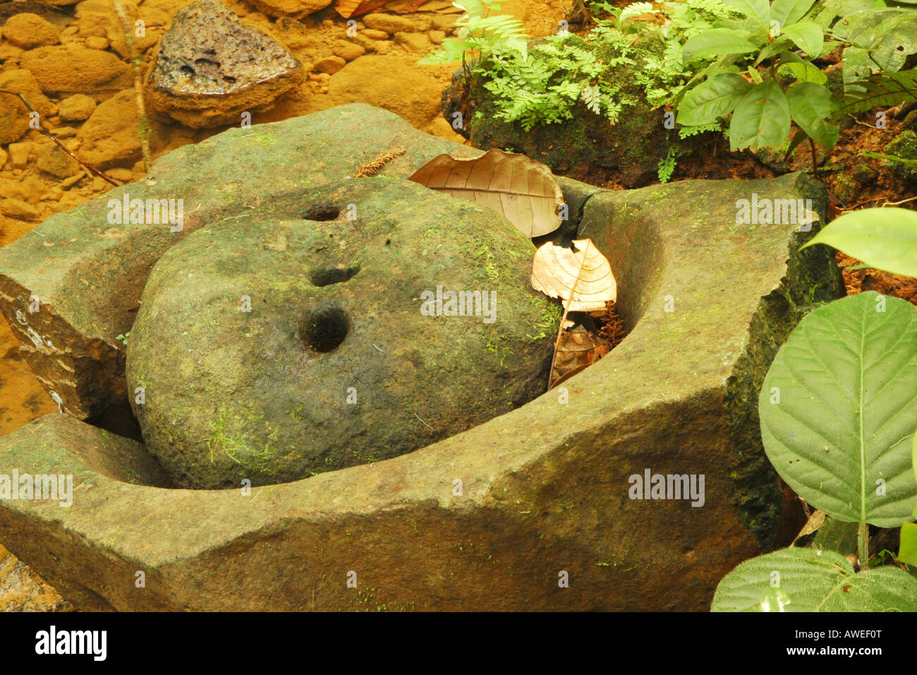 Artifact grinding stone in small creek, Panama Stock Photo - Alamy